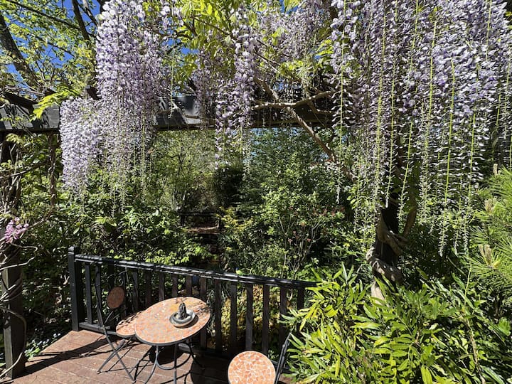 Charming Streamside Haven In The Heart Of Katoomba - Katoomba