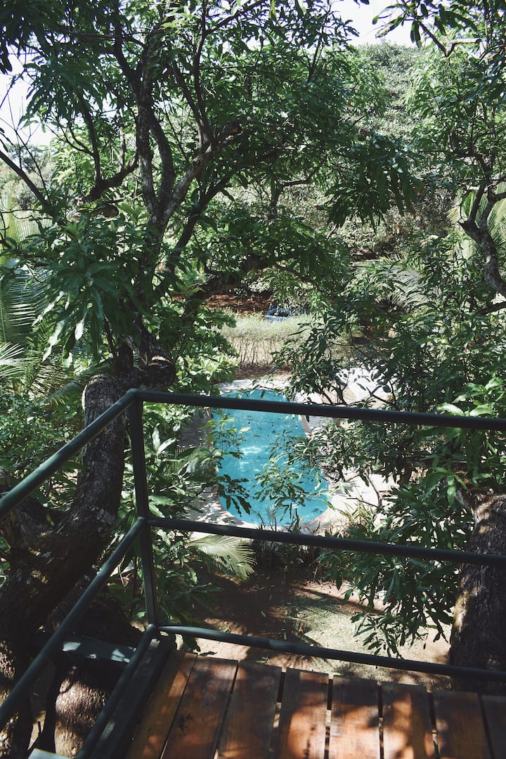 Casa Del ÁRbol - Orotina