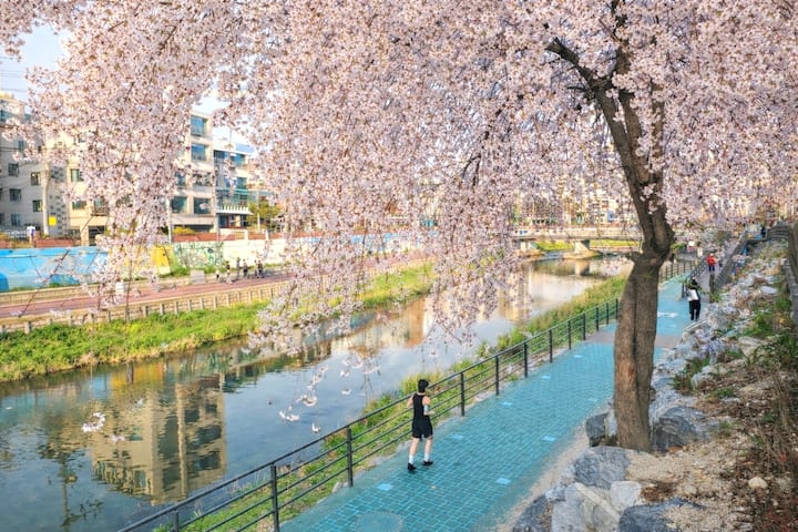 Seoulstay – Line 4 4′, Ddp 20′, Myeongdong 25′ - South Korea