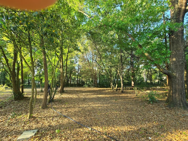 Rv Site With Lotsa Room! - Crystal River, FL