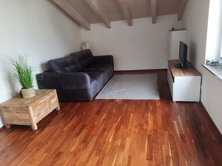 Gemütliche Ferienwohnung - Ochsenhausen