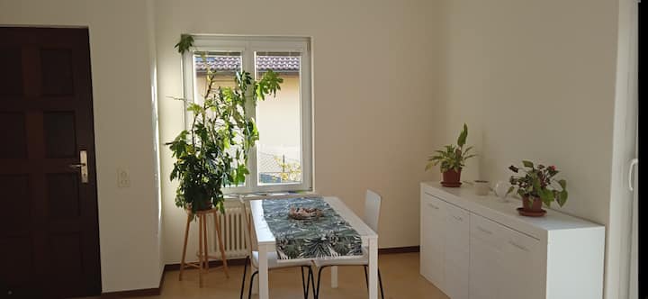 Casetta Con Vista Sulle Alpi - Canobbio