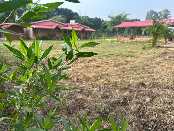 Natures Retreat - A Farmville Resort - Pachmarhi