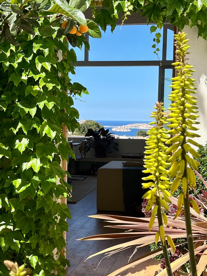 Maison Piscine Vue Mer Endoume - Marseille