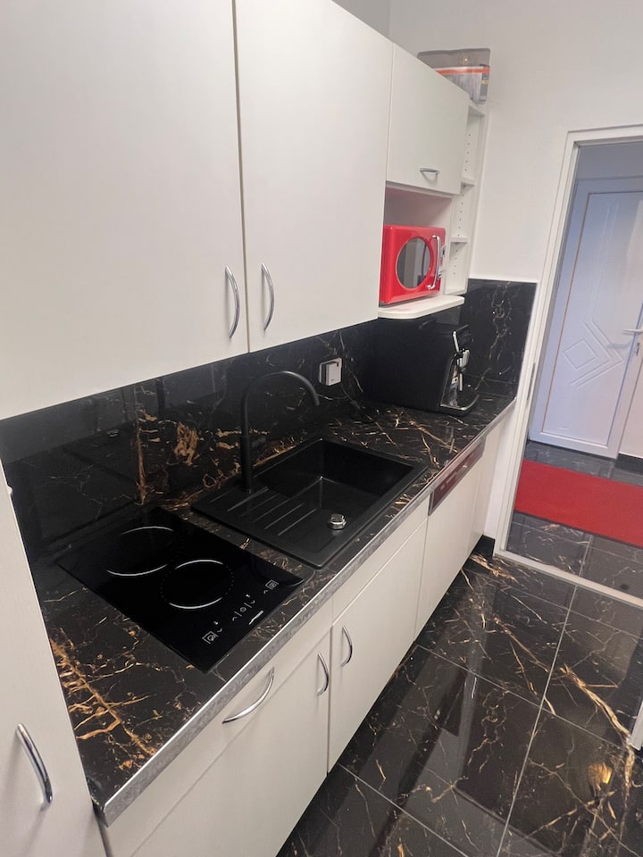 Lion Apartment 2 - Nuremberg