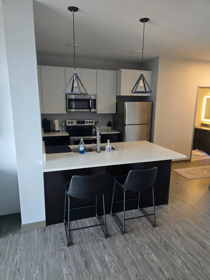 Upscale/quiet Modern Unit/new! - Madison, WI