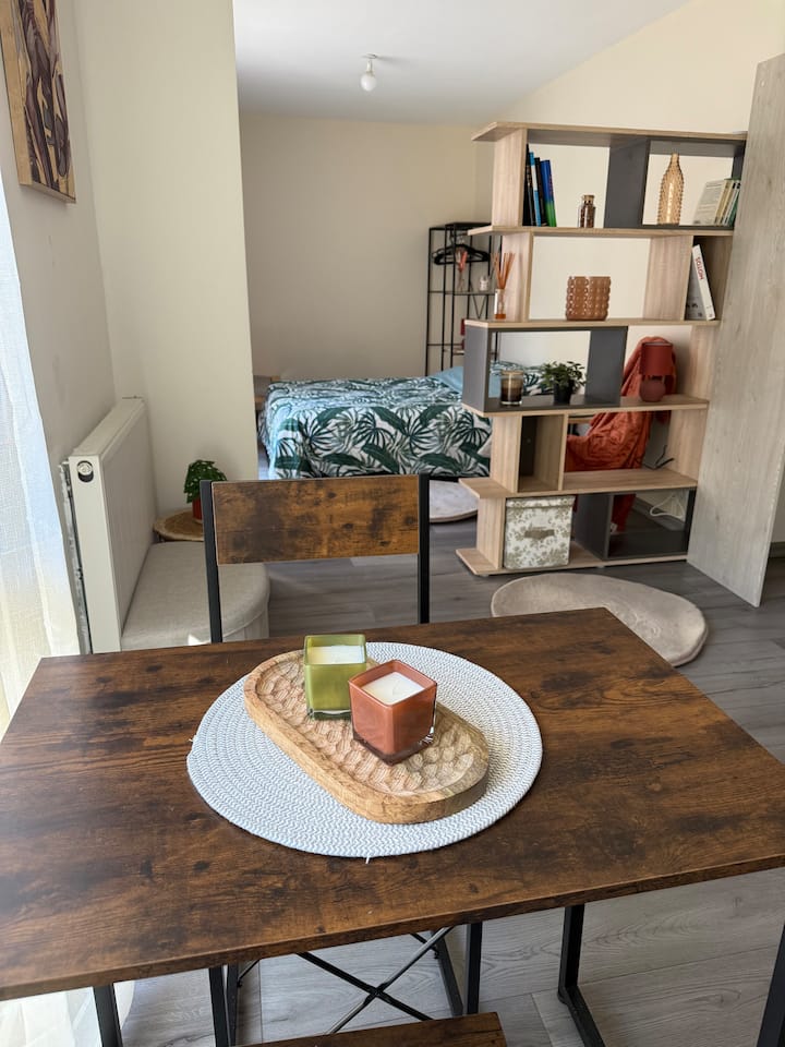 Studio | Annemasse Centre - Annemasse
