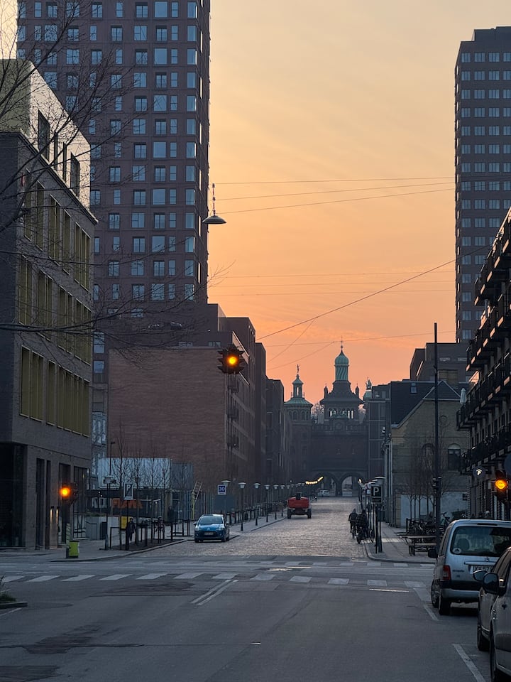 Great Apartment In Carlsberg District - Copenaghen