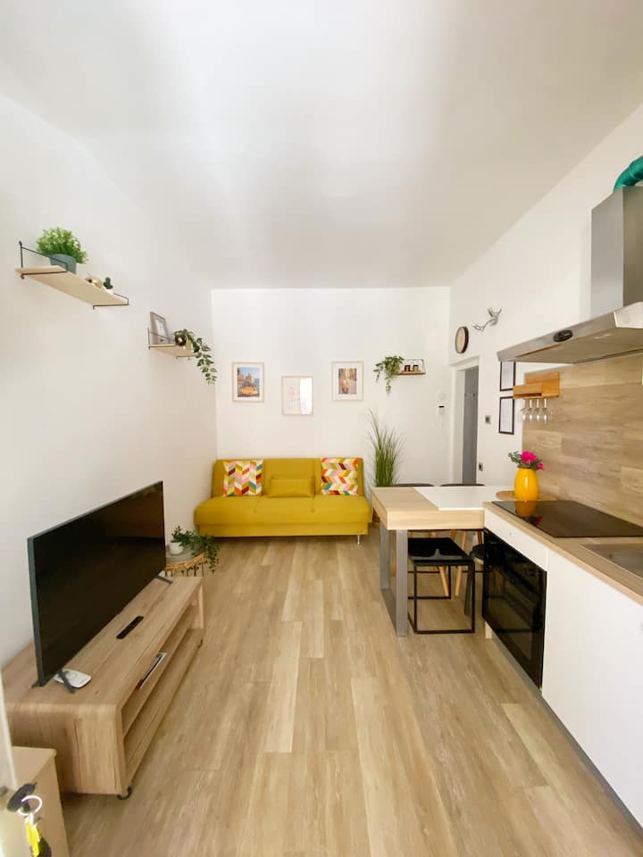 Anguille Home•delizioso Alloggio A Fiumicino - Fiumicino