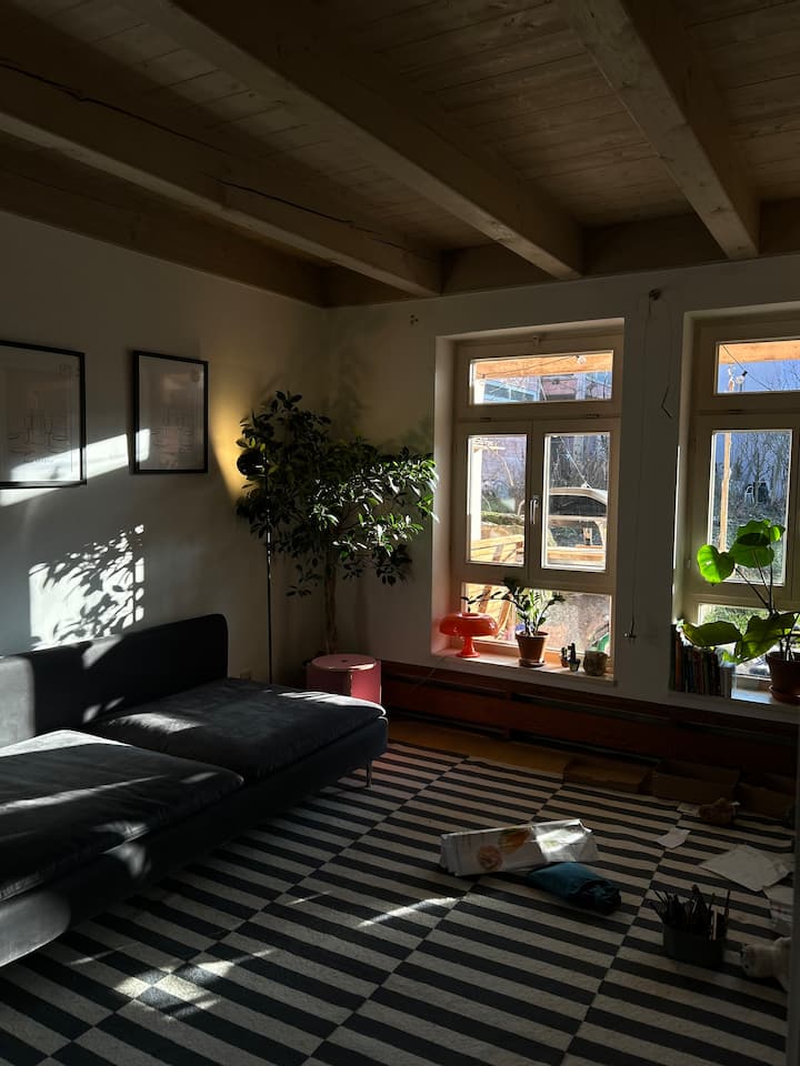 Gemütliche Wohnung - Tübingen