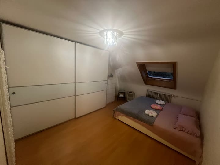Dg Wohnung In Ettlingen - Ettlingen