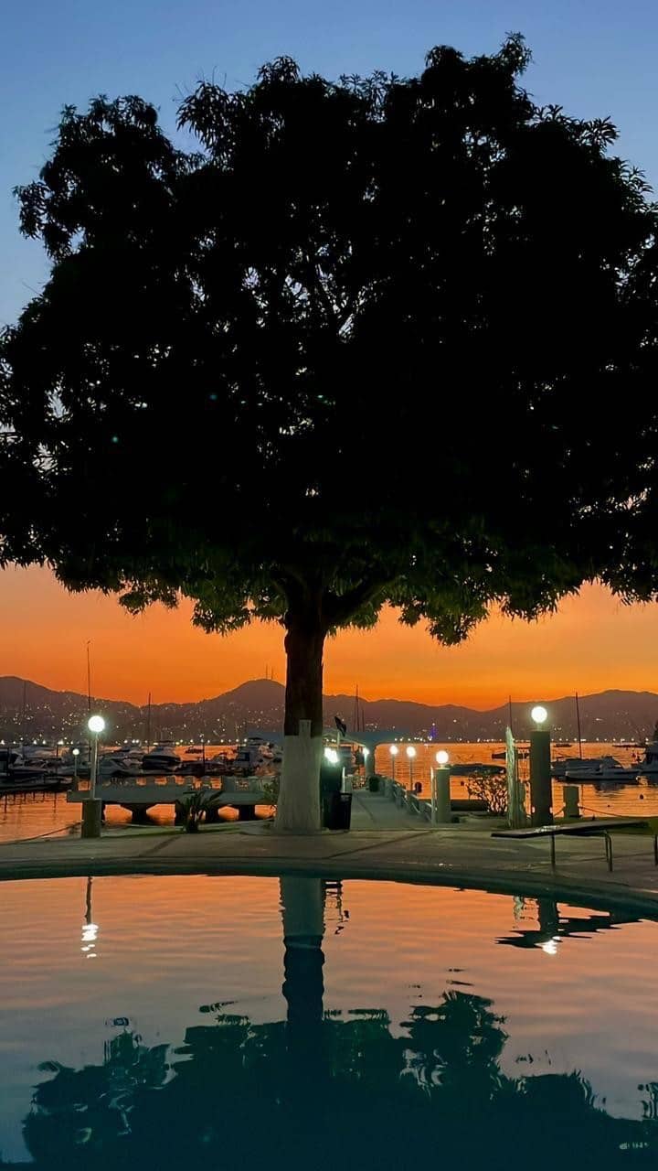 Suite Los Cocos, Aberca, Jardín Y Playa Privada, - Acapulco