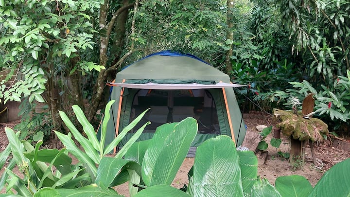 Uma Imersão úNica Na Natureza! - São Sebastião