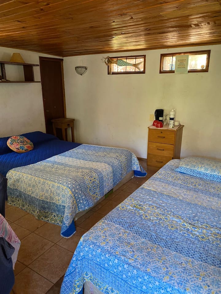 Habitación 2 O 3 Personas. 3 Cuadras De La Plaza. - Papudo