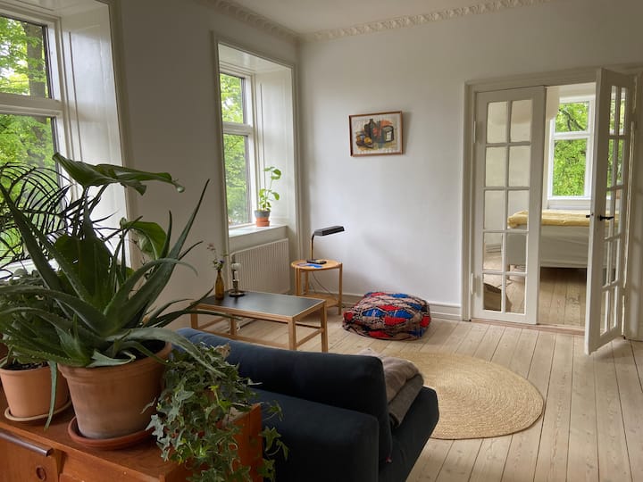 Hyggelig Lejlighed Med Parkudsigt Midt På Nørrebro - Copenhague