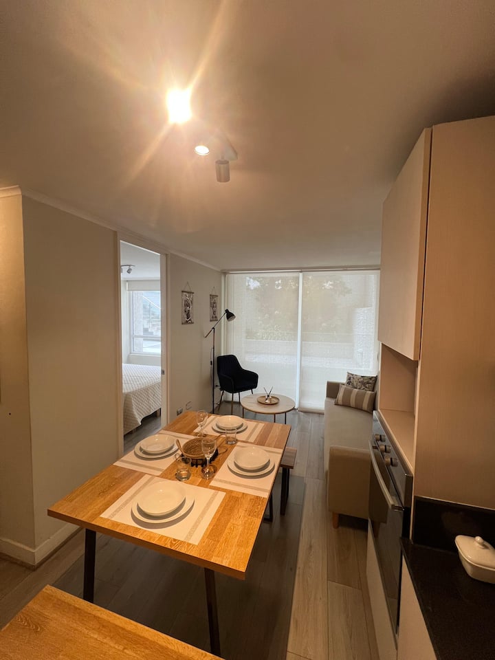 Hermoso Departamento En Santiago - Santiago, Chile