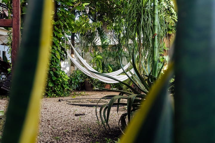 A/a, Wi-fi, Netflix, Jardín Y Estacionamiento - Bacalar