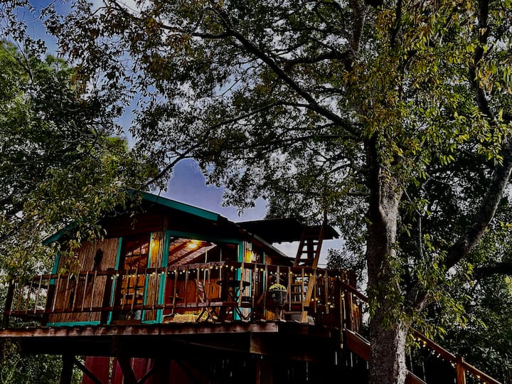 Tiki Treehouse On Lake Conroe - Lake Conroe, TX