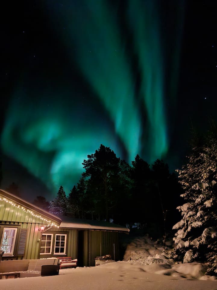 Hytteperle På Skarberget I Tysfjord - Noruega