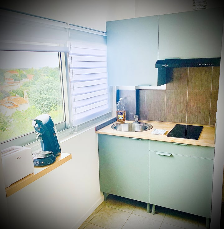 15eg Vinatier Grange Blanche Bron  Les Essarts - Lyon