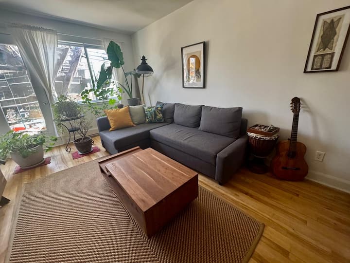 Joli Appartement Lumineux - Montreal