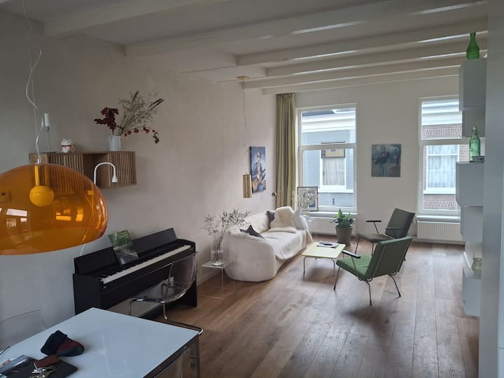 Stil Appartement Dicht Bij Station En Stadscentrum - Haarlem