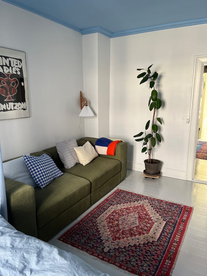 Stuelejlighed På Indre Nørrebro - Copenhague