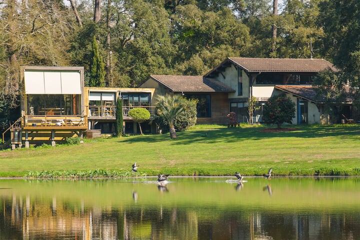 Les Nymphéas, Havre De Paix & éTang Privé - Saint-Vincent-de-Tyrosse