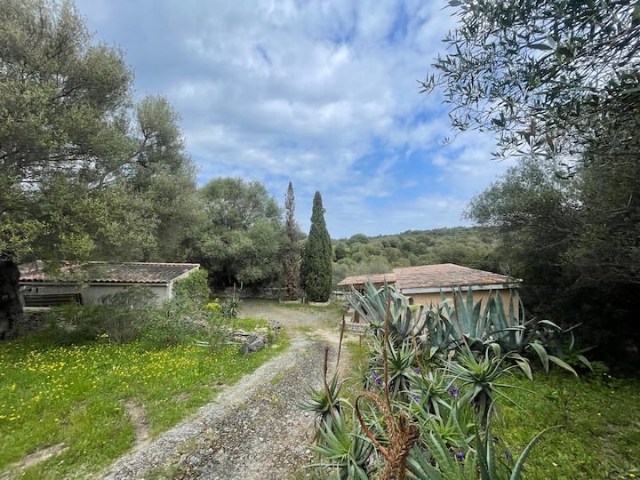 2 Mini Villas Indépendantes Campagne Saint Flo - Saint-Florent