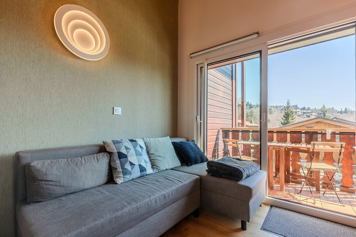 Appartement Le Chalet Des Neige - Cluses