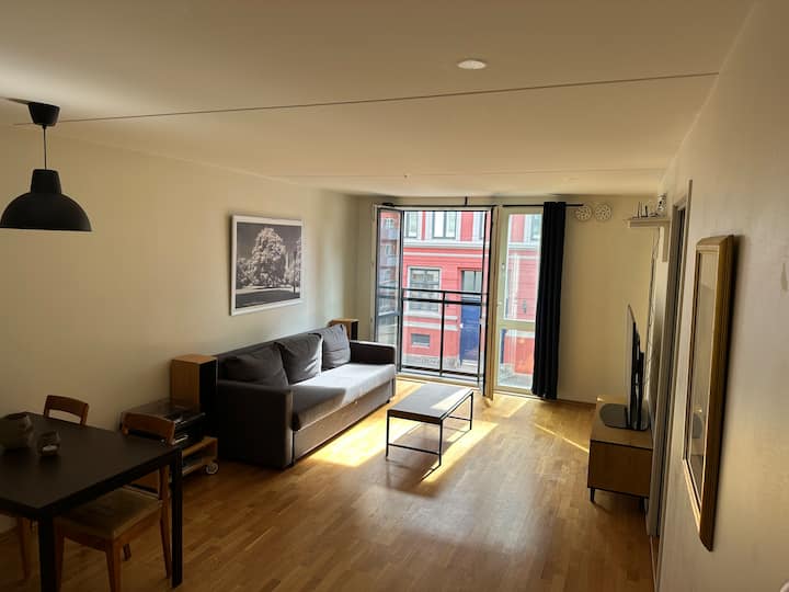 Romslig Leilighet I Oslo Sentrum M 2 Dobbeltsenger - Oslo