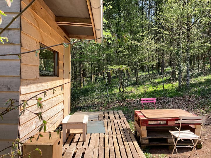Cabane Dans La Forêt - Forêt-Noire