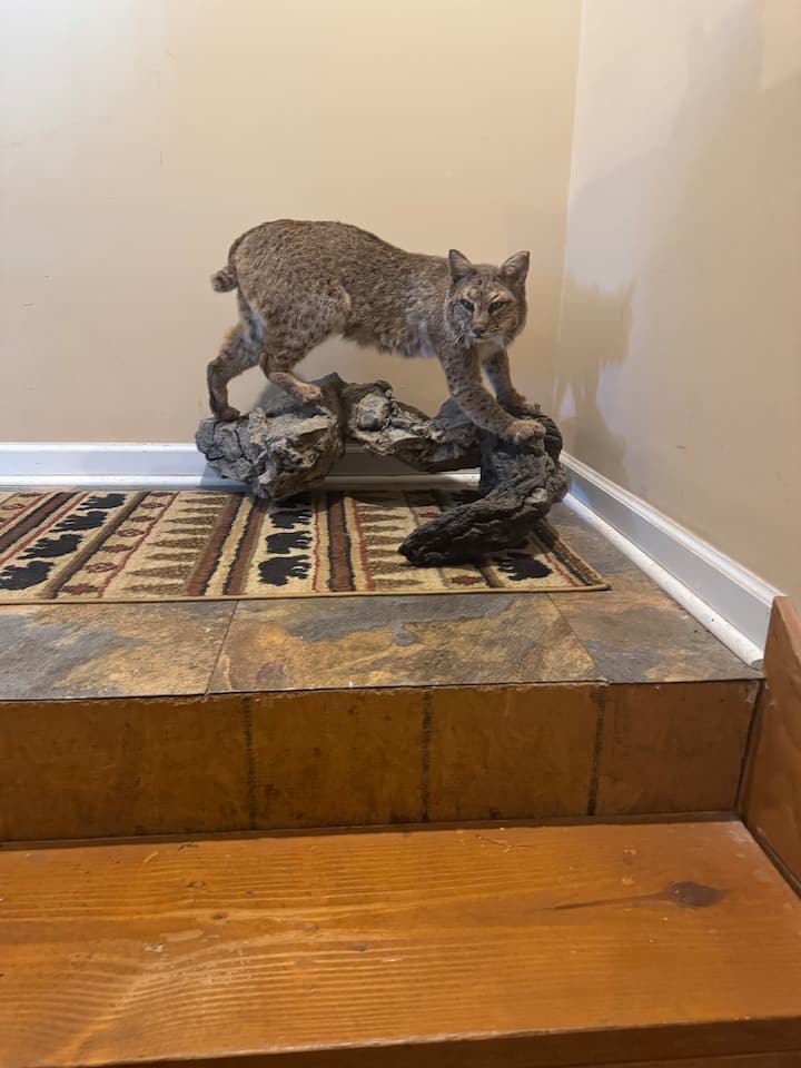 The Loft - Sylva, NC