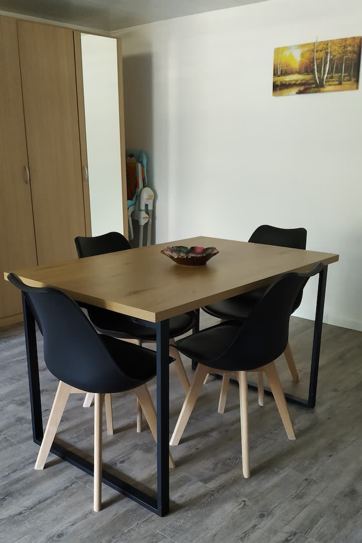 Rez De Jardin 53m2 - Wifi - Ibis Budget Sarrebourg Buhl