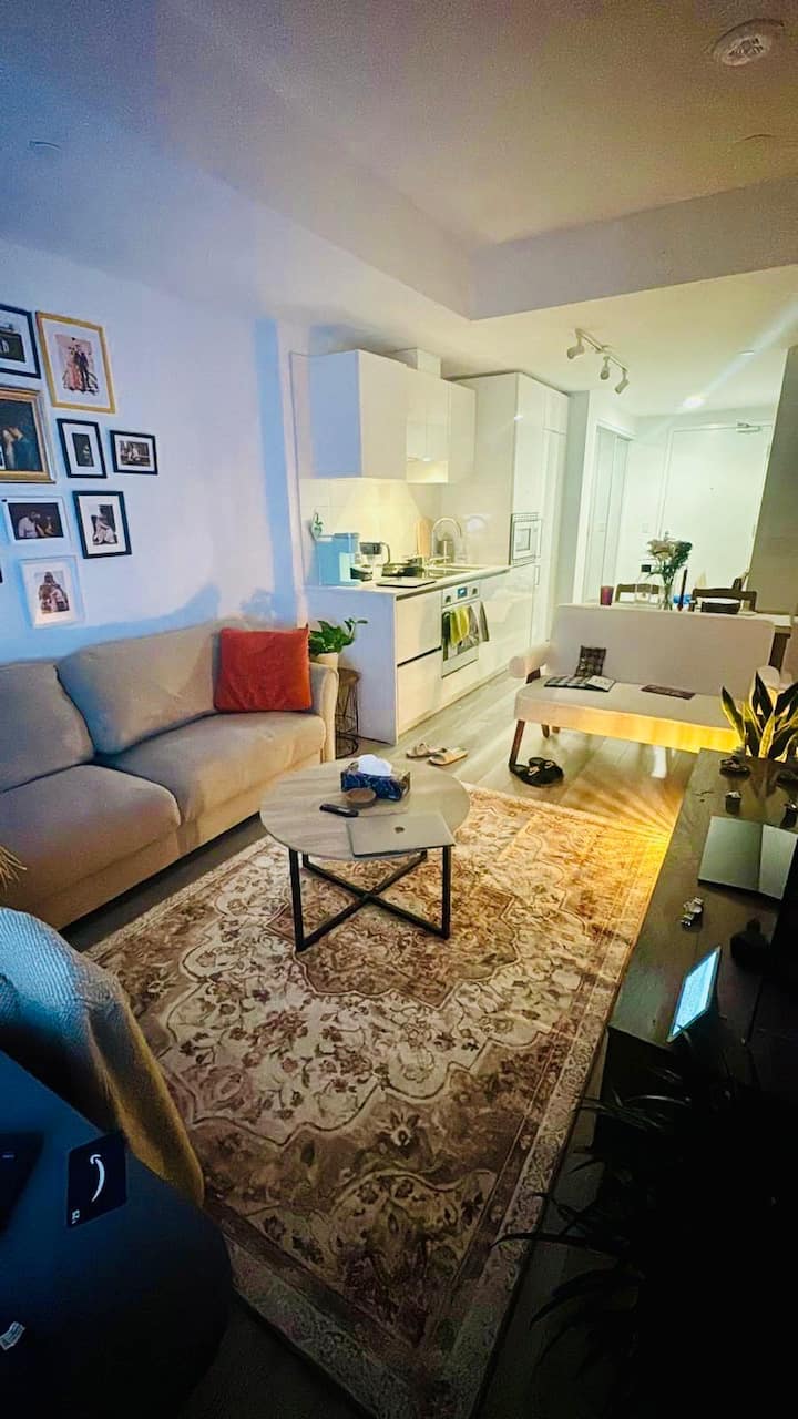 Downtown Toronto 25th Floor Condo - Mississauga