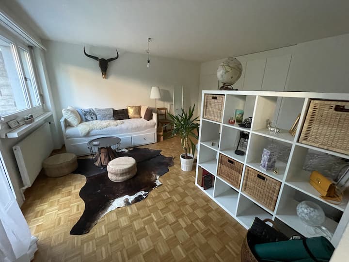 Eigene Wohnung Am See - Zürich