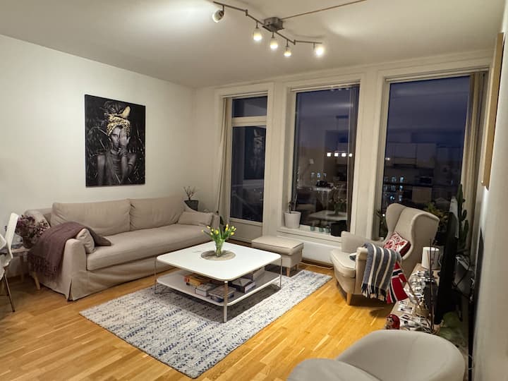 Room In A Bright & Central Apt - 斯塔萬格