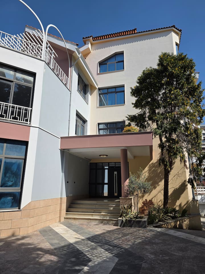 Mansion Bregu - 地拉那