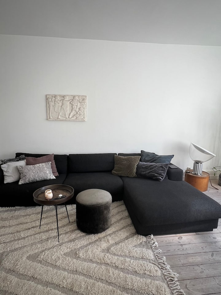 Big & Central Cph Apartment - Copenhagen
