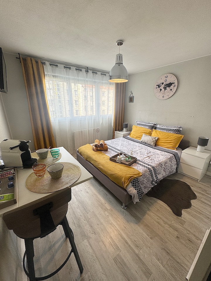 «&nbsp;Le Voyageur&nbsp;» 24m2 Prox Part Dieu/gare - Lyon