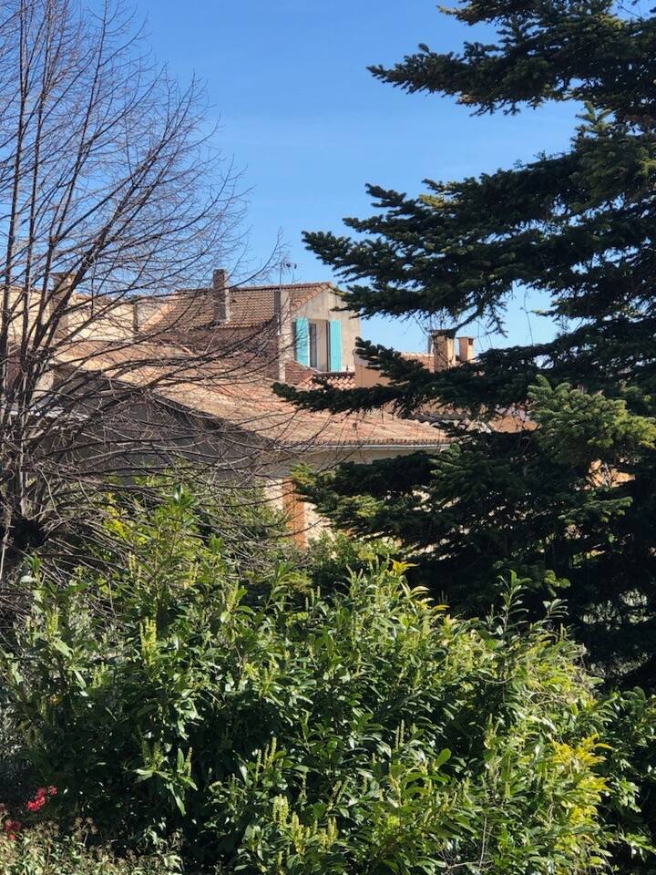 Magnifique Maison Sur La Montagne De Lure - Alpes-de-Haute-Provence