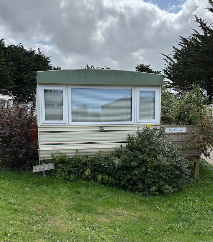 Sea Clover - Mawgan Porth