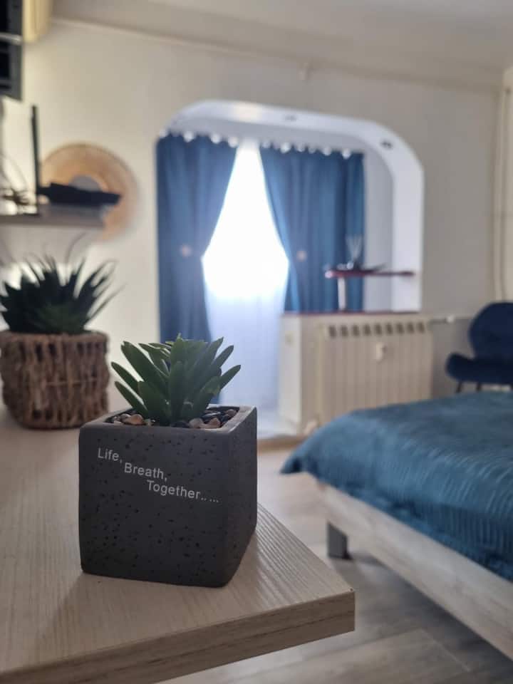 Studio 1 Mai Romanescu - Craiova