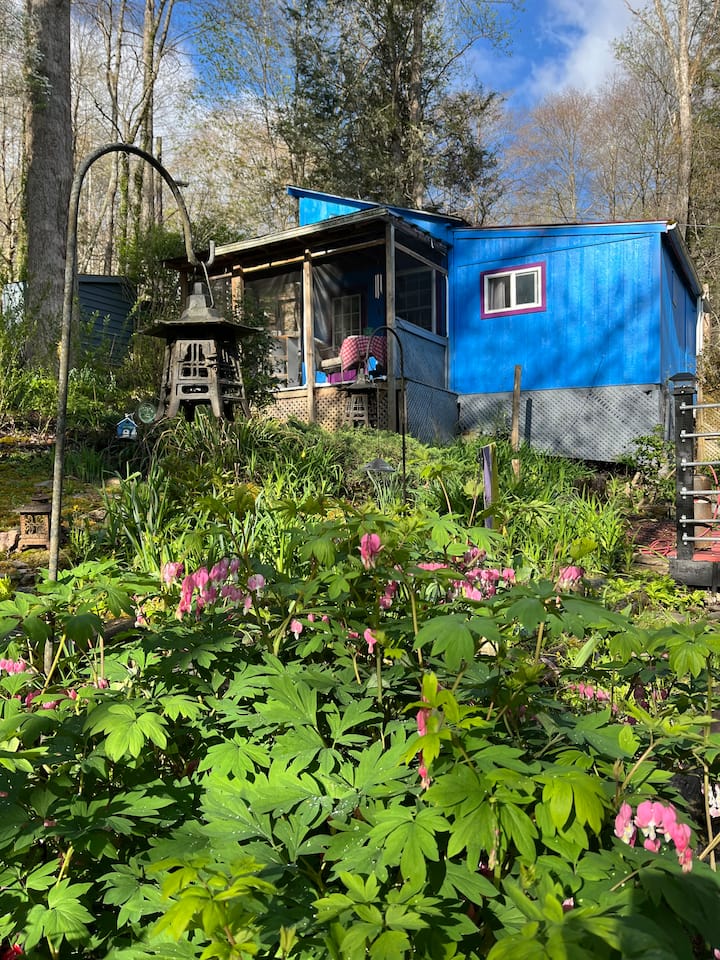Cozy Woodsy Art Cottage - Sylva, NC