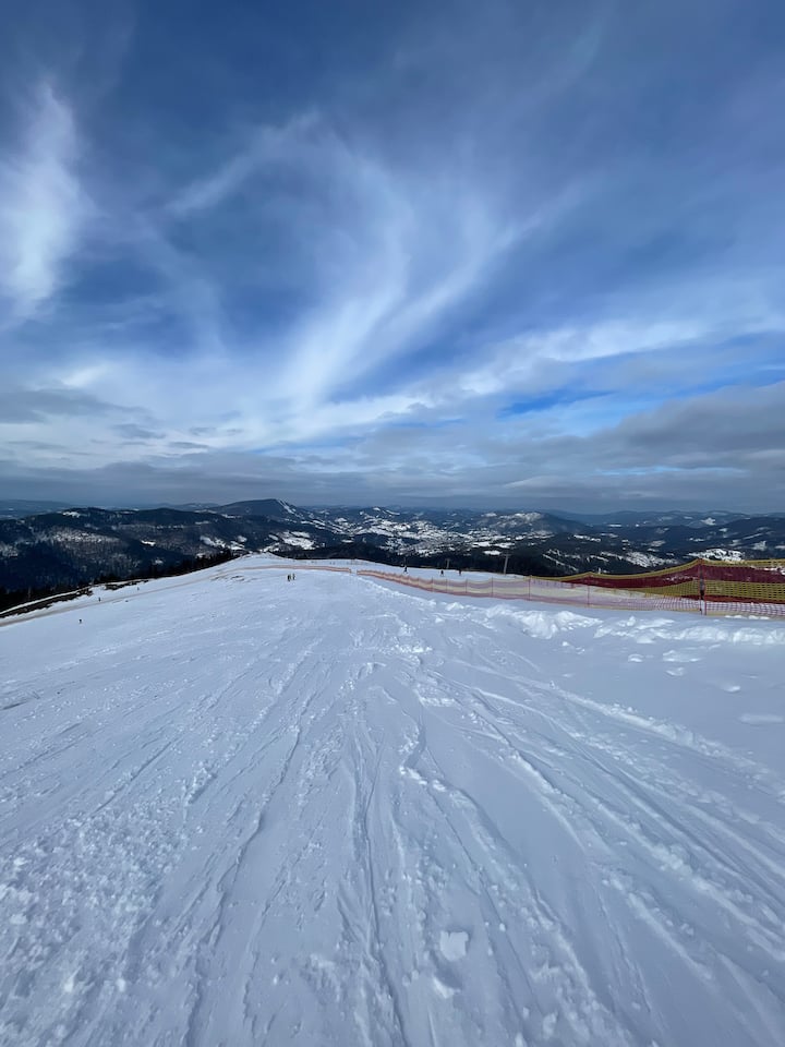Apartments Teodora Classic - Lviv