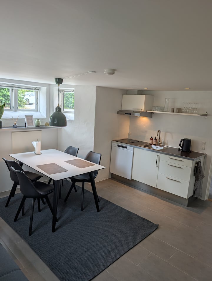 Lys Lejlighed I Kælderniveau - Odense