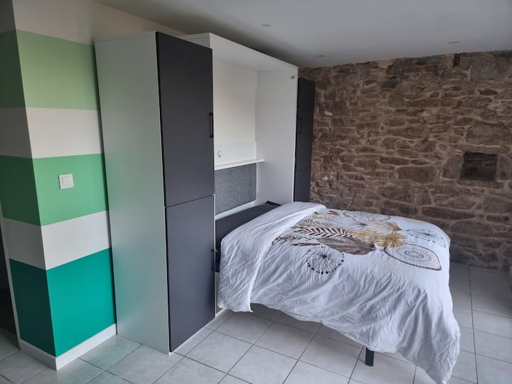 Charmant Appartement Avec Terrasse - Rodez