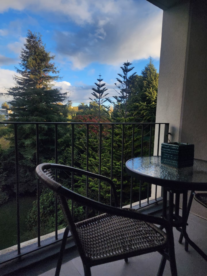 Departamento Céntrico Con Vistas - Valdivia