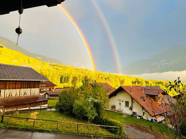 Alpenfeeling & Seenähe - Brienz