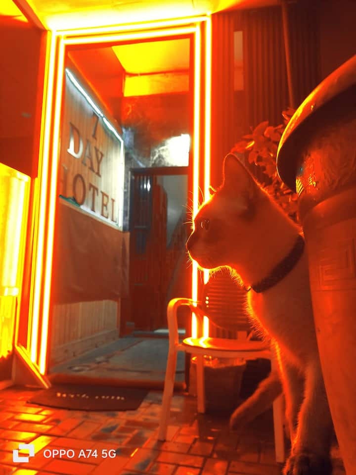 Vous Ne Payez Que L'hébergement, Pas Les Frais. - Dakhla